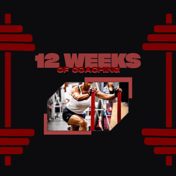 12 Weeks of Coaching - 3DFIT Ultimate Fitness Arena